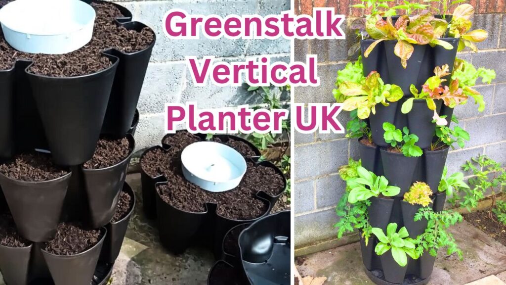 Greenstalk vertical planter - The No Dig Gardener